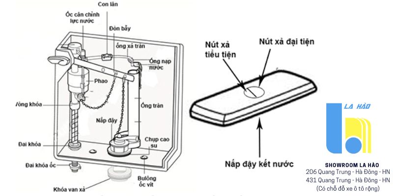 Cấu tạo két nước, bồn cầu 1 khối, bồn cầu 2 khối, xifong, bộ xả